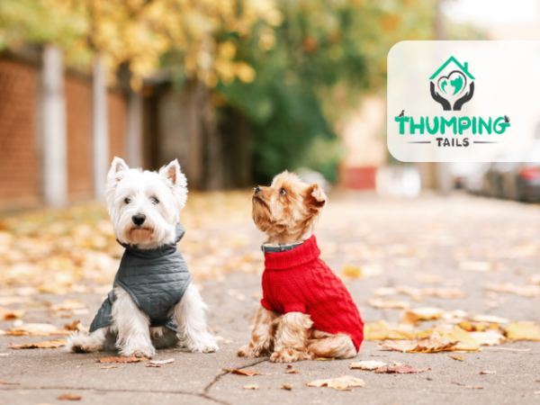 Harrison Dog Sweaters - Thumping Tails