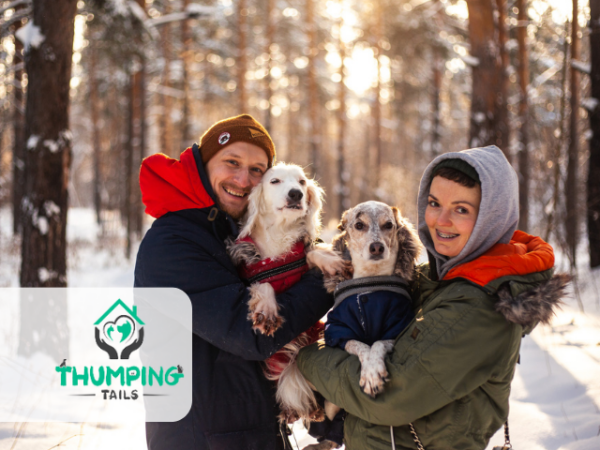 Rye Brook Dog Hoodies - Thumping Tails