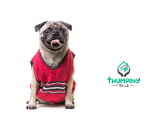 Rye Dog Sweaters - Thumping Tails